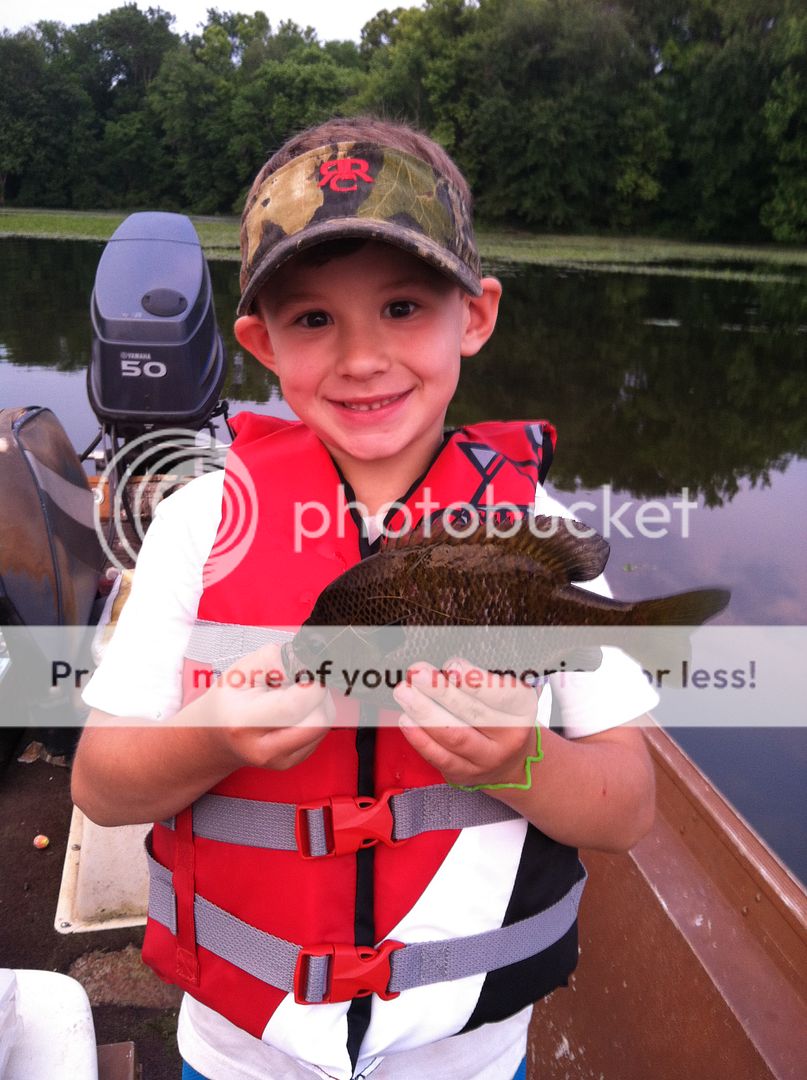 Drowning crickets! - ALDEER.COM