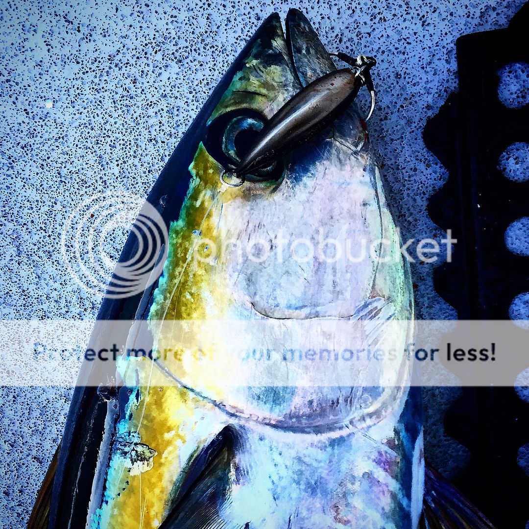 Offshore - Fished Sat DEC 6 Cortes Bank fishing at its finest on the ...